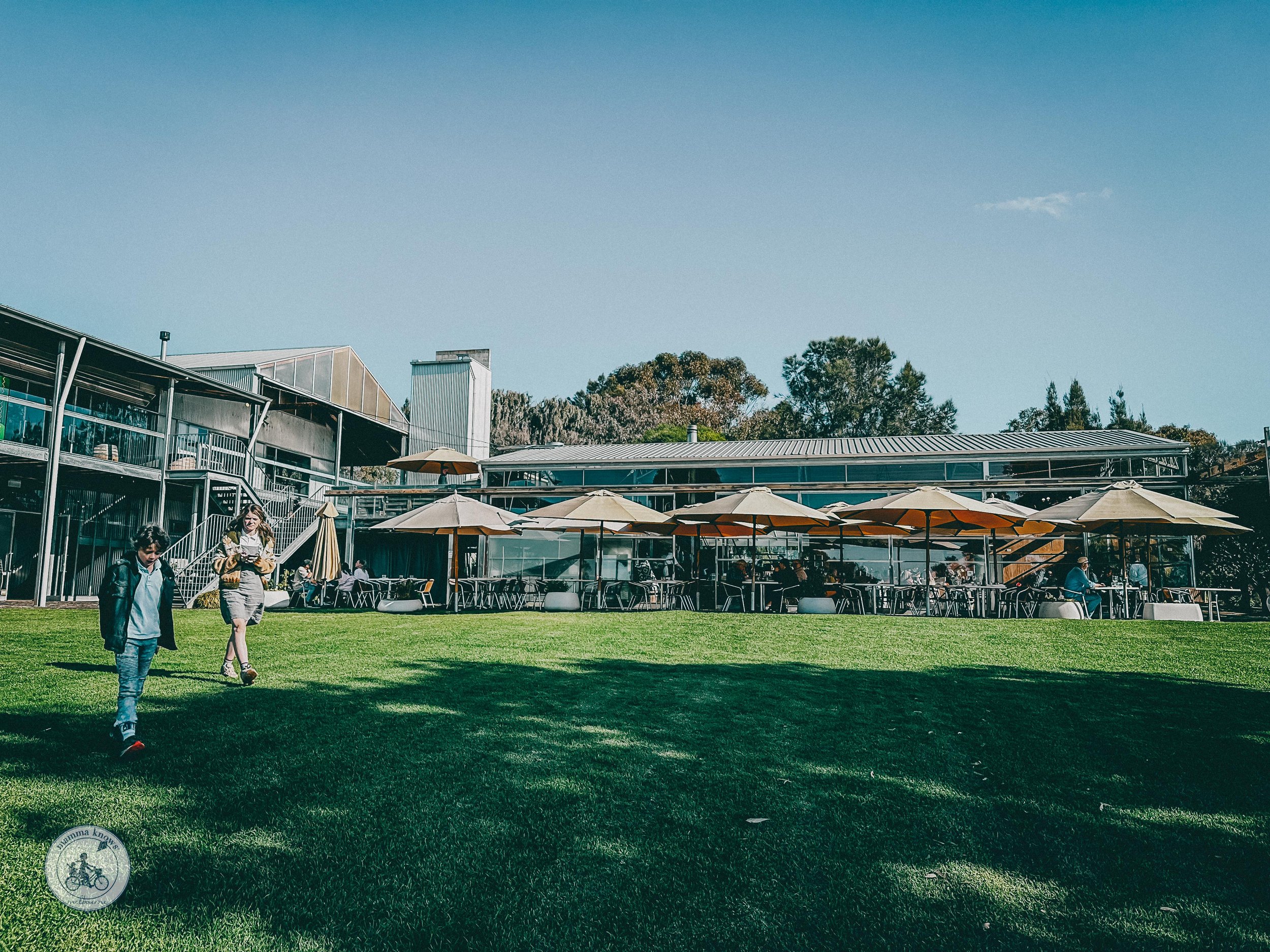 Bellarine Peninsula Wineries- Helicopter with Leisure Tours